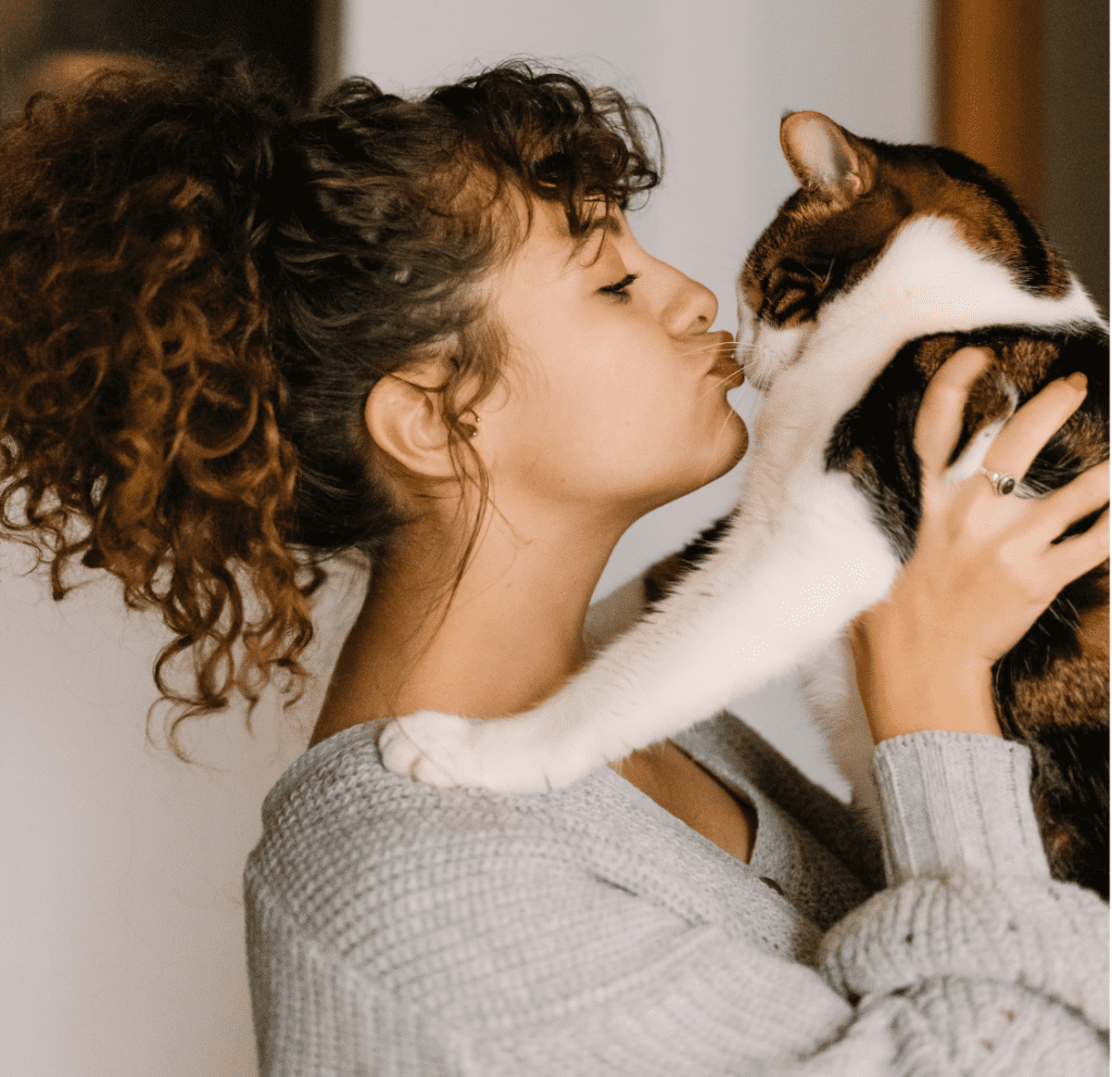 Purring Plush Cat | Stress Relief & Comfort By Purryfuls