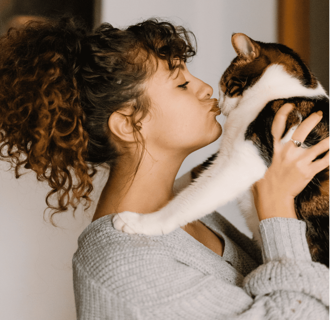 Purring Plush Cat | Stress Relief & Comfort By Purryfuls